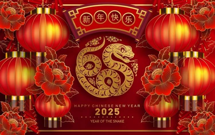 El Año Nuevo Chino 2025 - meridiano63